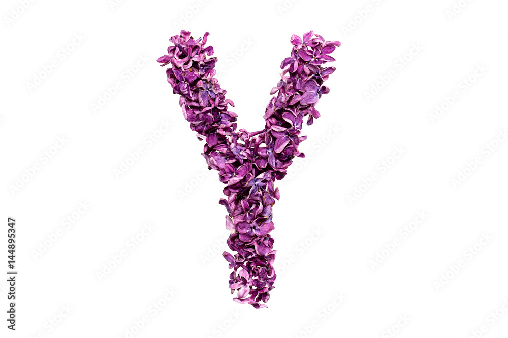 Purple Letter Y