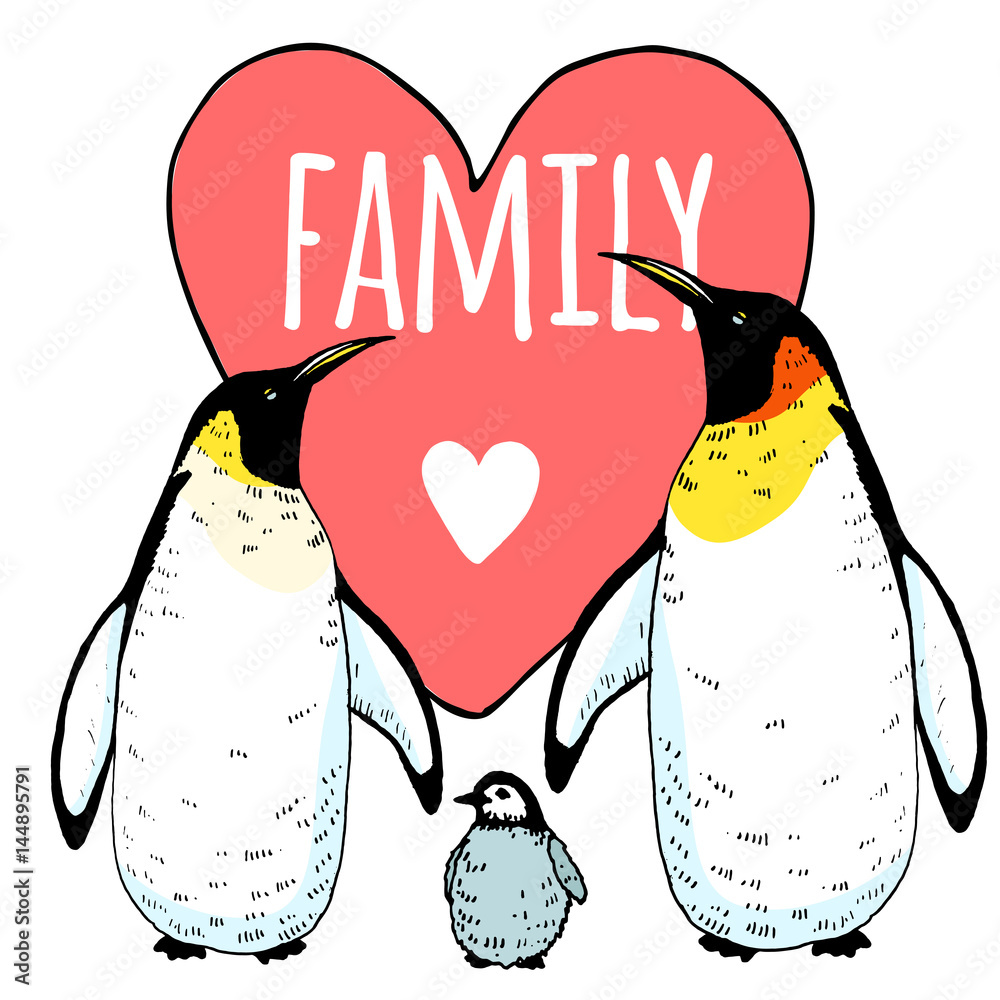 Vector penguins family with baby illustration. Hand drawn sketch of ...