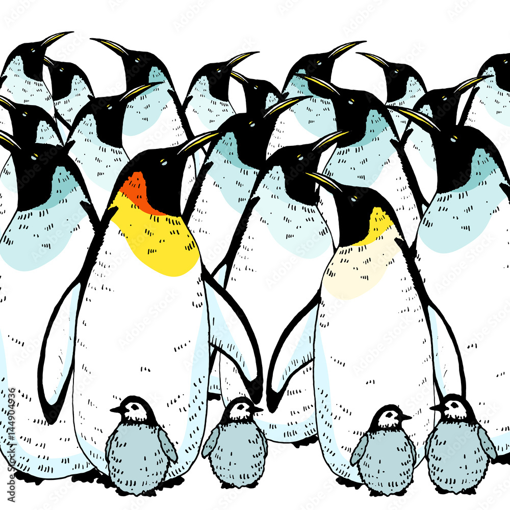 Vector penguins and babies group illustration. Hand drawn sketch of ...