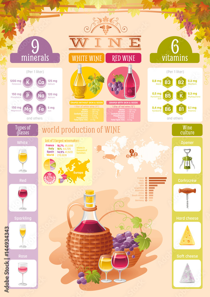 Wine Infographic Poster