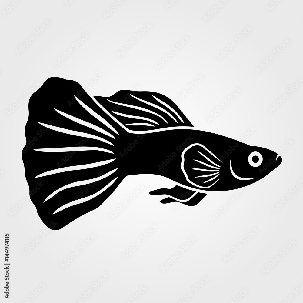 Guppy Fish icon isolated on white background. Stock Vector | Adobe Stock