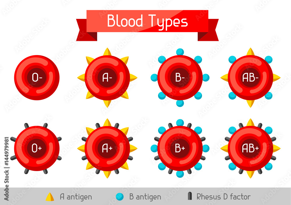 Set of blood cells types. Medical and healthcare infographic Stock ...