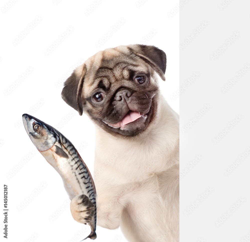 Dog holding a fish in its paw and peeking from behind empty board ...