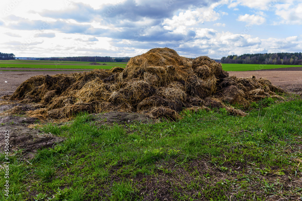 Cow Manure Fertilizer