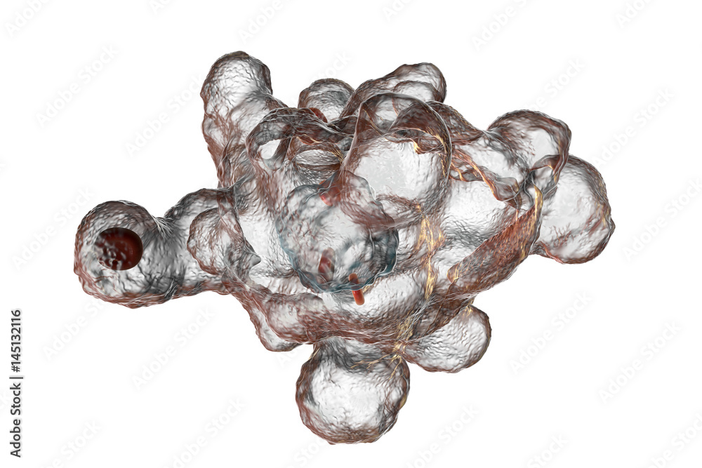 Entamoeba histolytica protozoan isolated on white background. Parasite ...