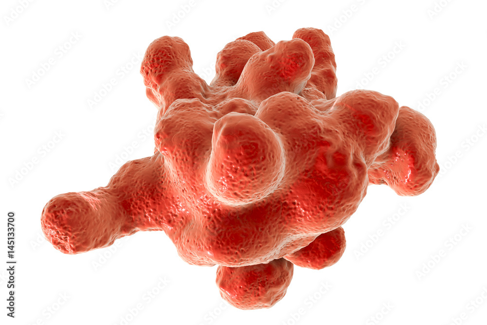Entamoeba histolytica protozoan isolated on white background. Parasite ...
