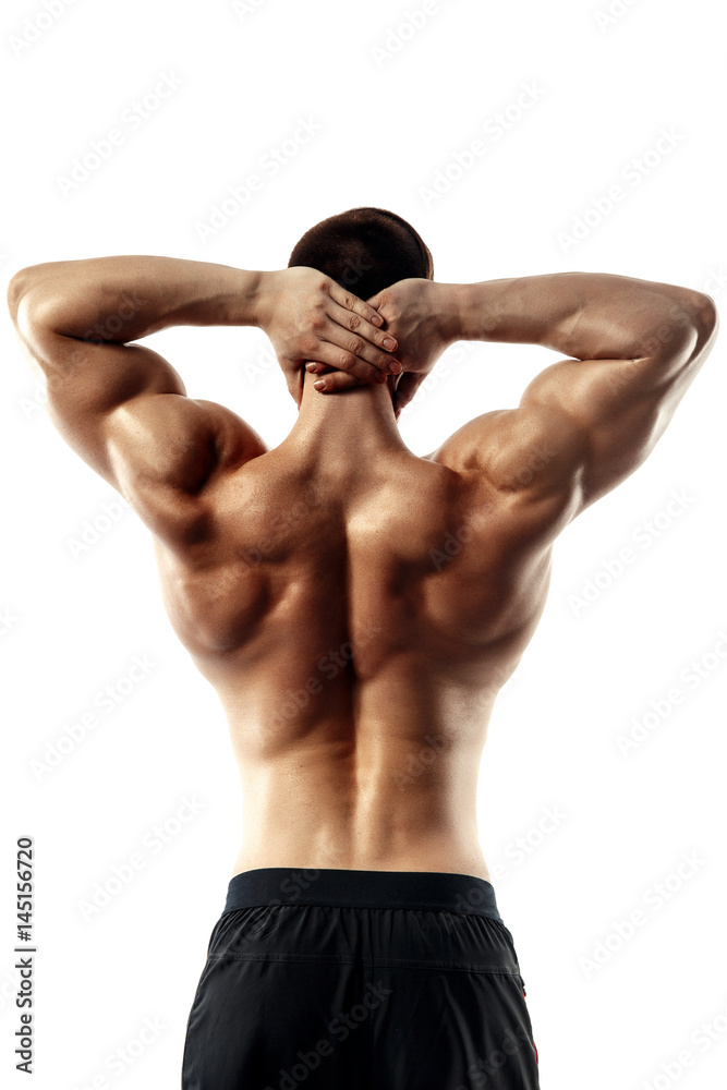 The back view of torso of attractive male body builder on white ...