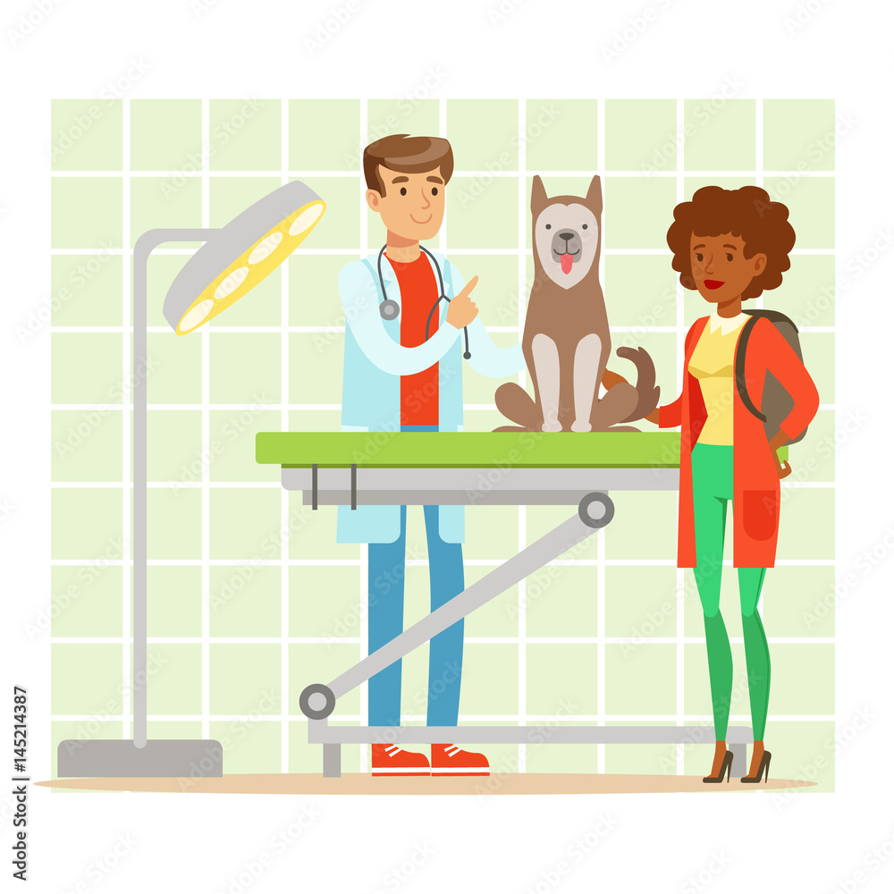 Cheerful woman and veterinary doctor examining dog in vet clinic ...