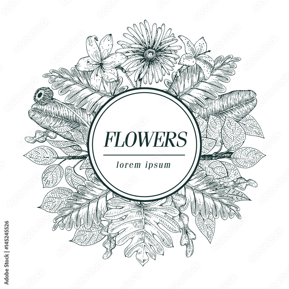 Botany vintage design template. Botanical frame. Vector illustration ...