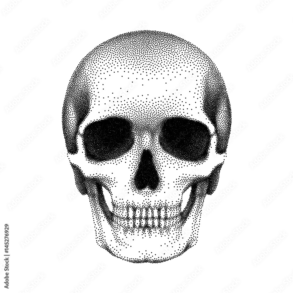 Stippled human skull with a lower jaw. Vector textured illustration ...