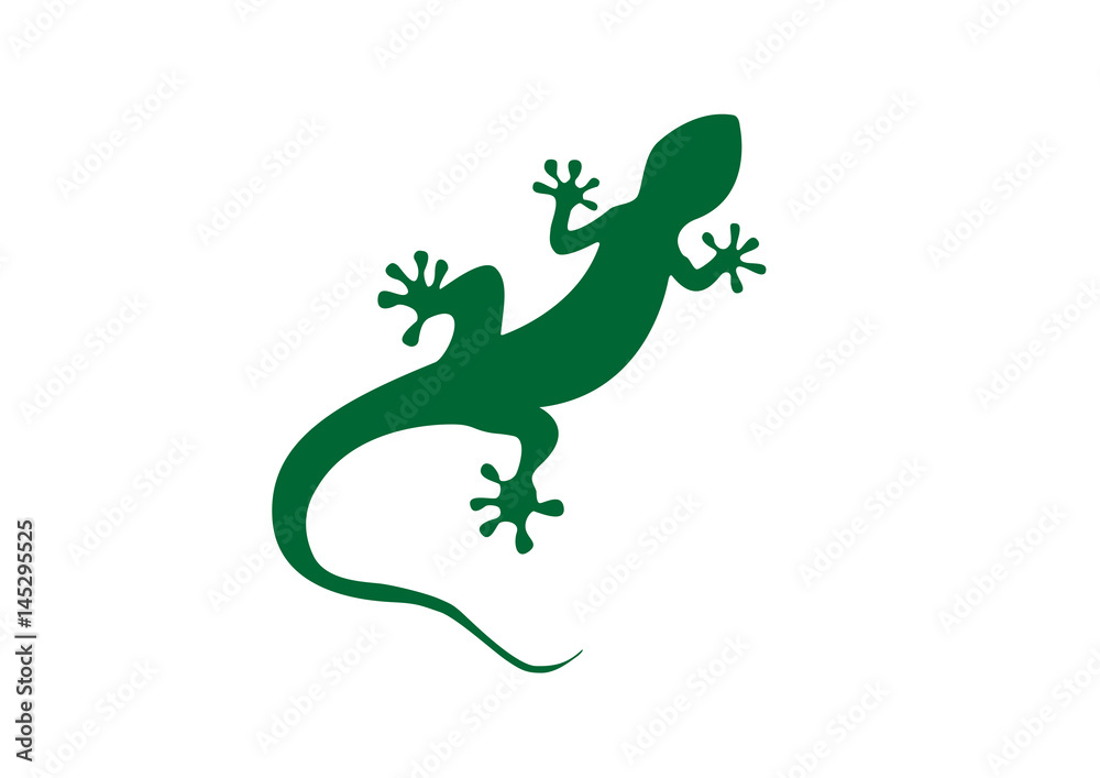 Gecko vector illustration isolated on a white background Stock Vector ...