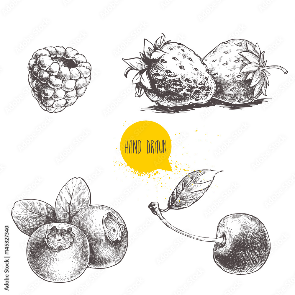 Hand drawn sketch style berries set isolated on white background ...