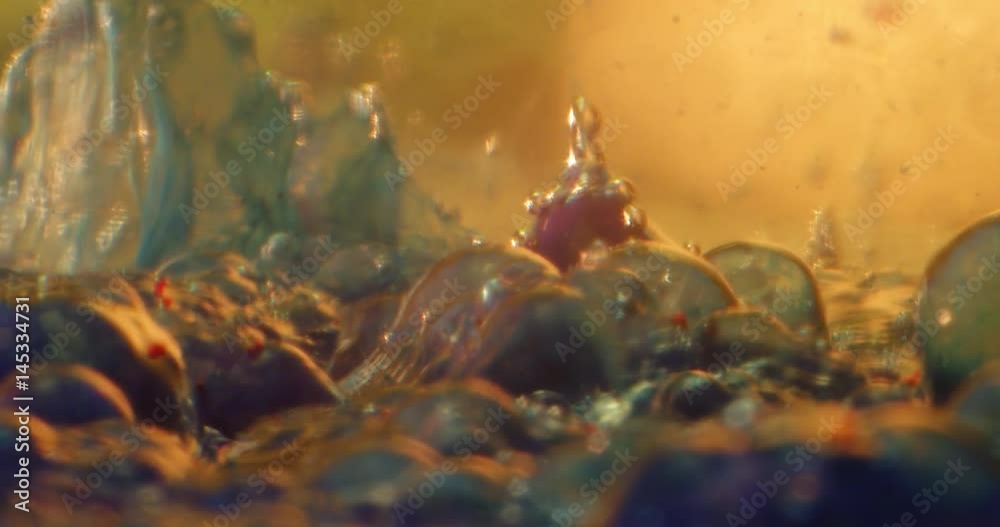 Stars wars of the planet.Color drops floating in oil and water over a ...