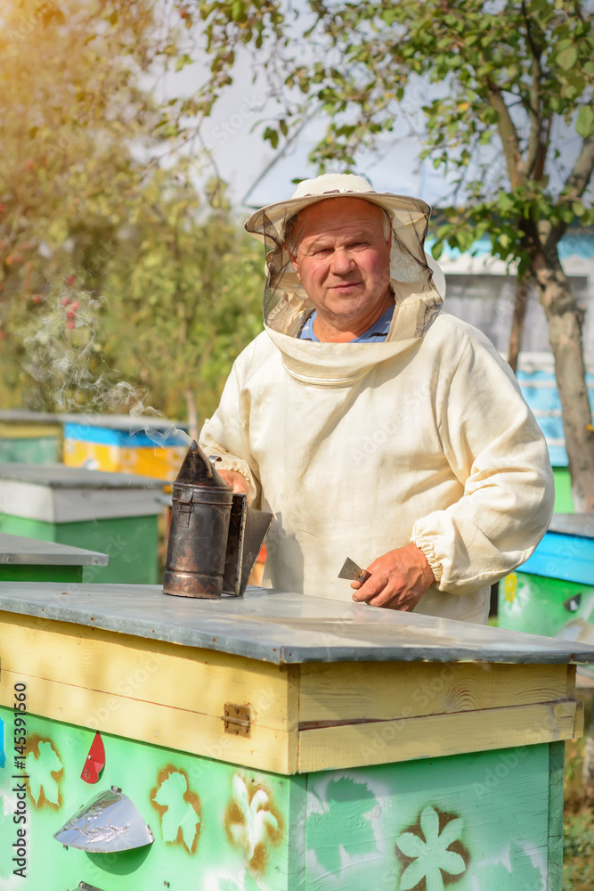 Beekeeper is working with bees and beehives on the apiary. Beekeeper on ...