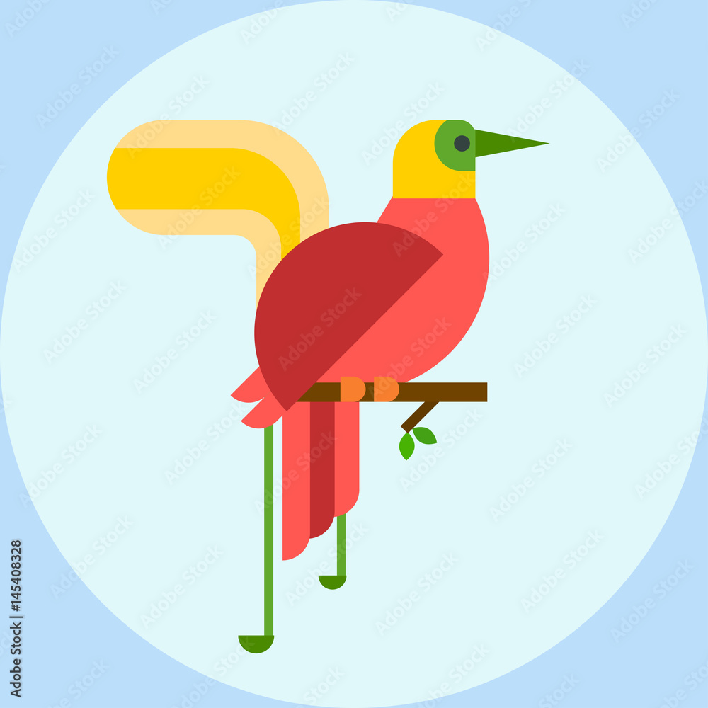 Cartoon tropical peacock wild animal bird vector illustration and ...