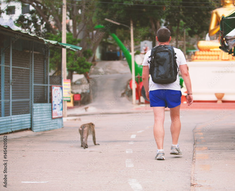 sports man walks next to a monkey on the way to the temple in Thailand ...