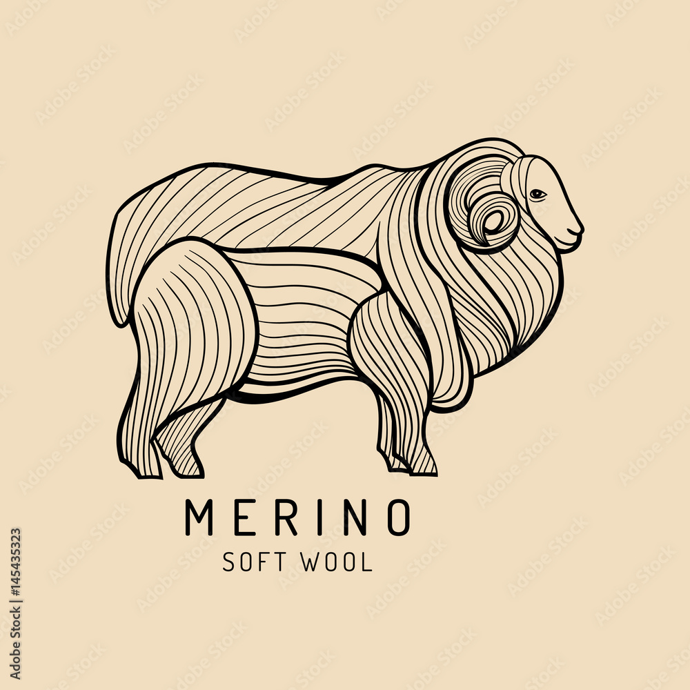 Merino sheep logo, label. Vector ram illustration. Ewe soft wool sign ...