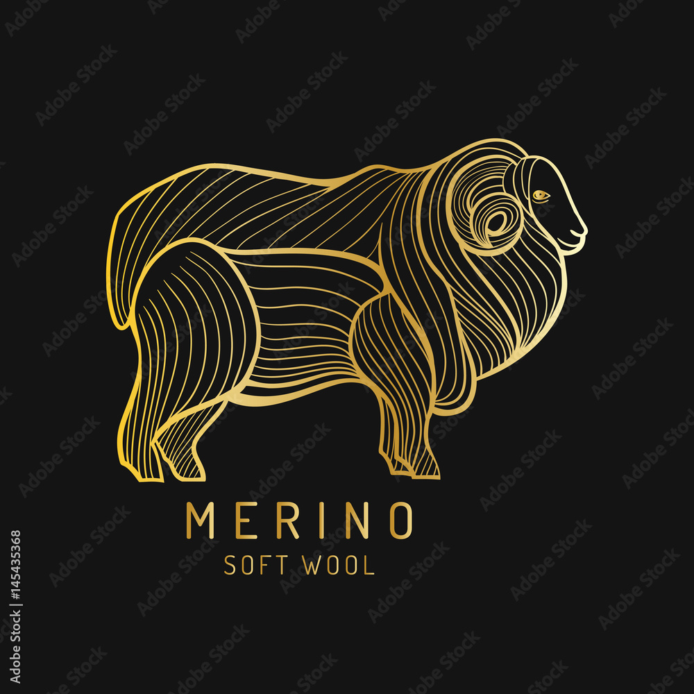 Merino sheep logo, label. Vector ram illustration. Ewe soft wool sign ...