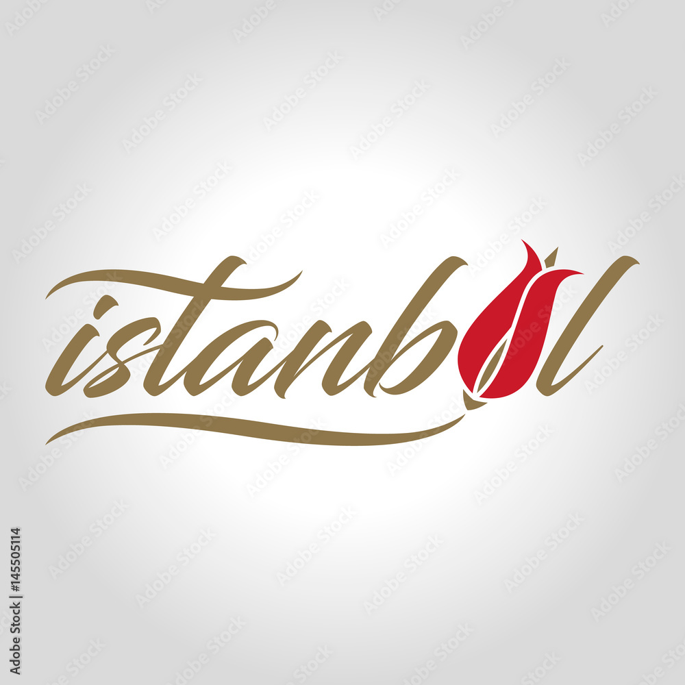 istanbul logo, icon and symbol vector illustration Stock Vector | Adobe ...