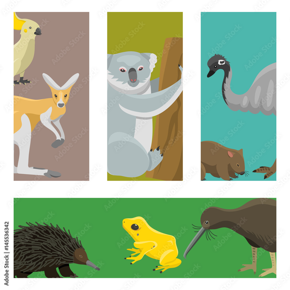 Australia wild animals cartoon popular nature characters flat style ...