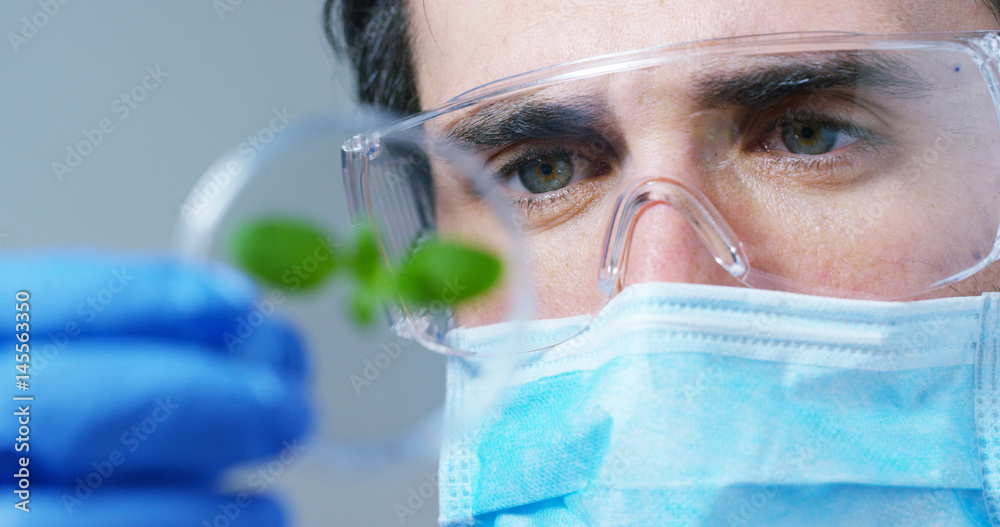 A scientist in a laboratory analyzes the soil and the plants inside to ...