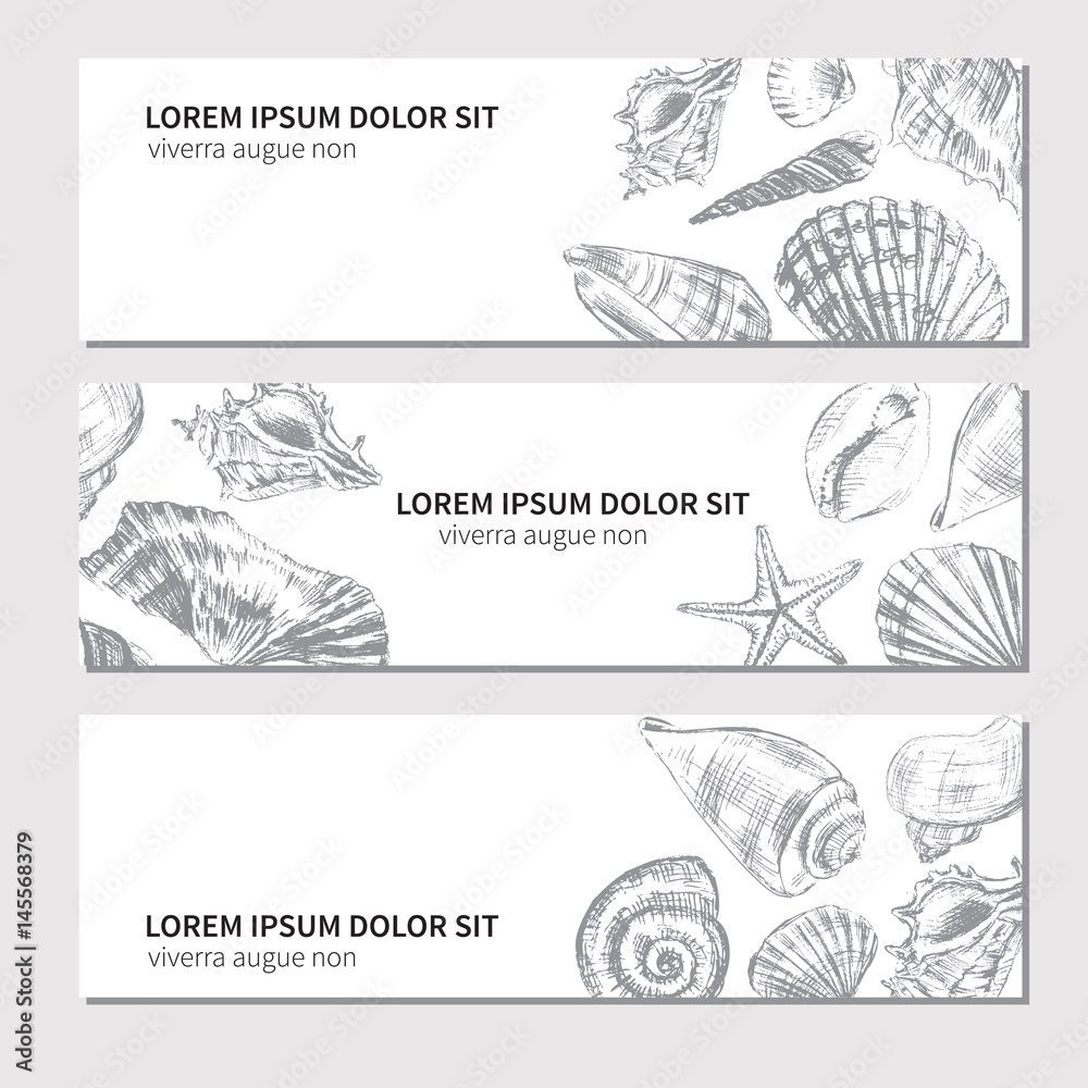 Seashells hand drawn vector graphic etching sketch isolated on white ...