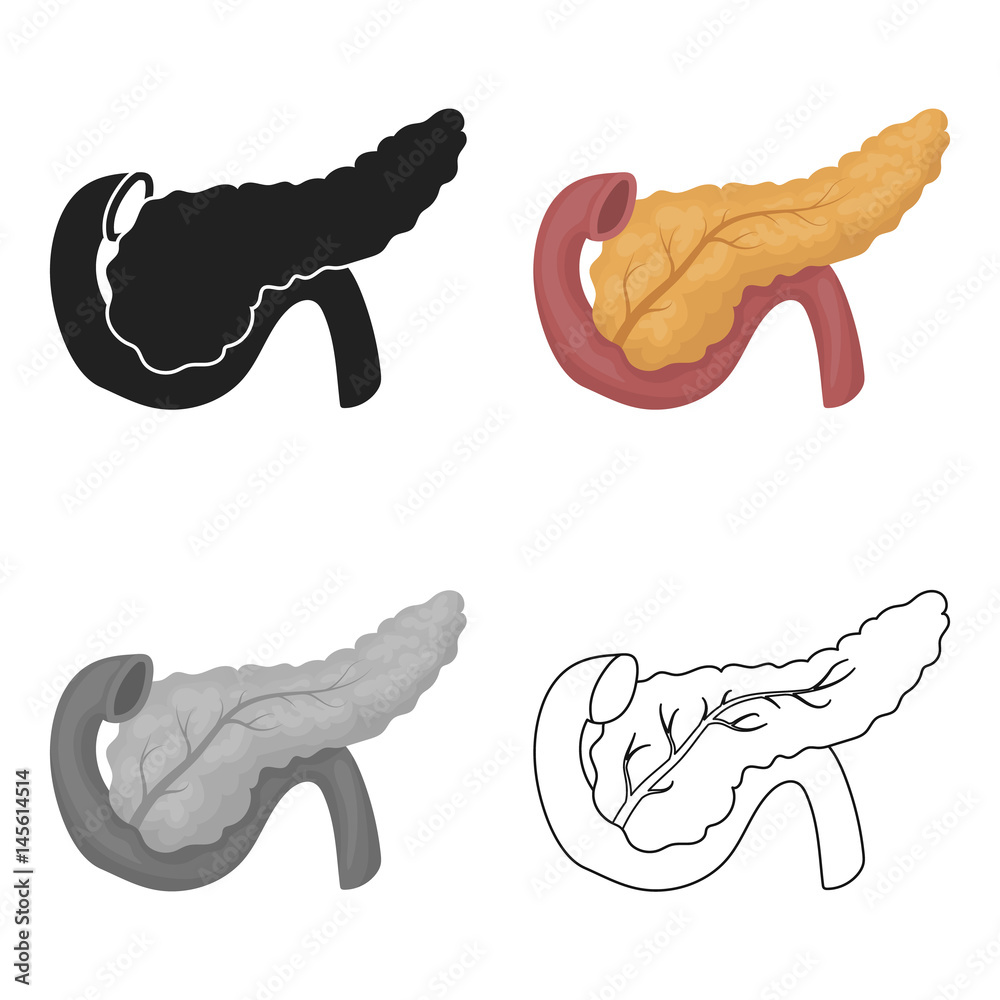 Pancreas icon in cartoon style isolated on white background. Organs symbol stock vector ...