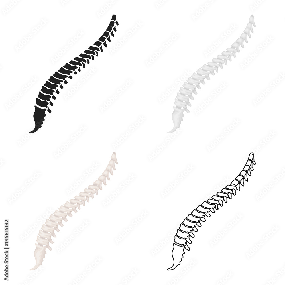Spine icon in cartoon style isolated on white background. Organs symbol ...