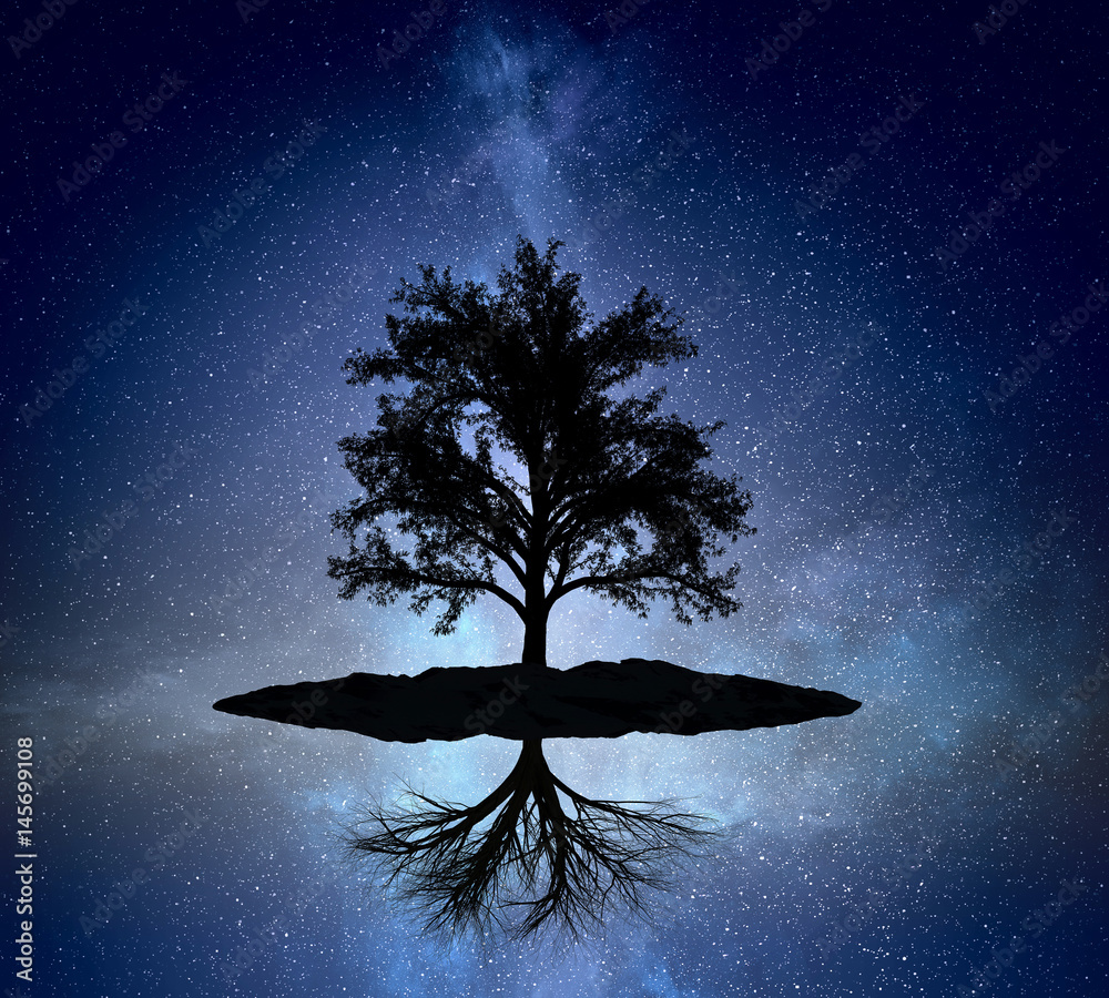 Starry sky landscape Stock Photo | Adobe Stock