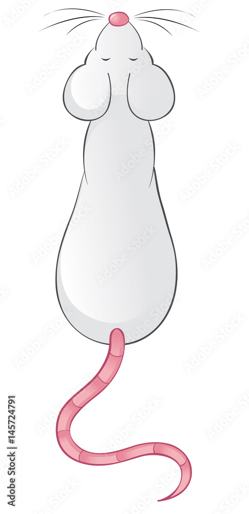 Cute white lab mouse Stock-Vektorgrafik | Adobe Stock