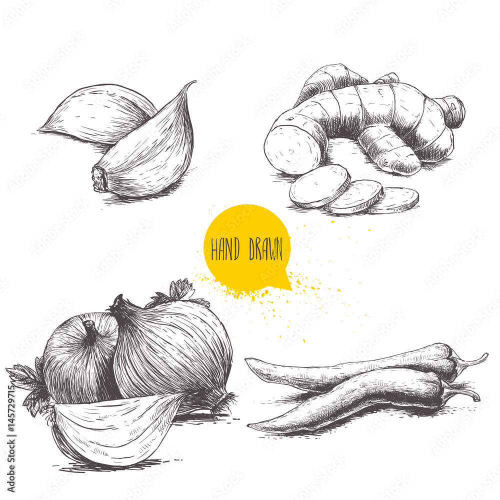 Hand drawn sketch style set illustration of different spices isolated ...