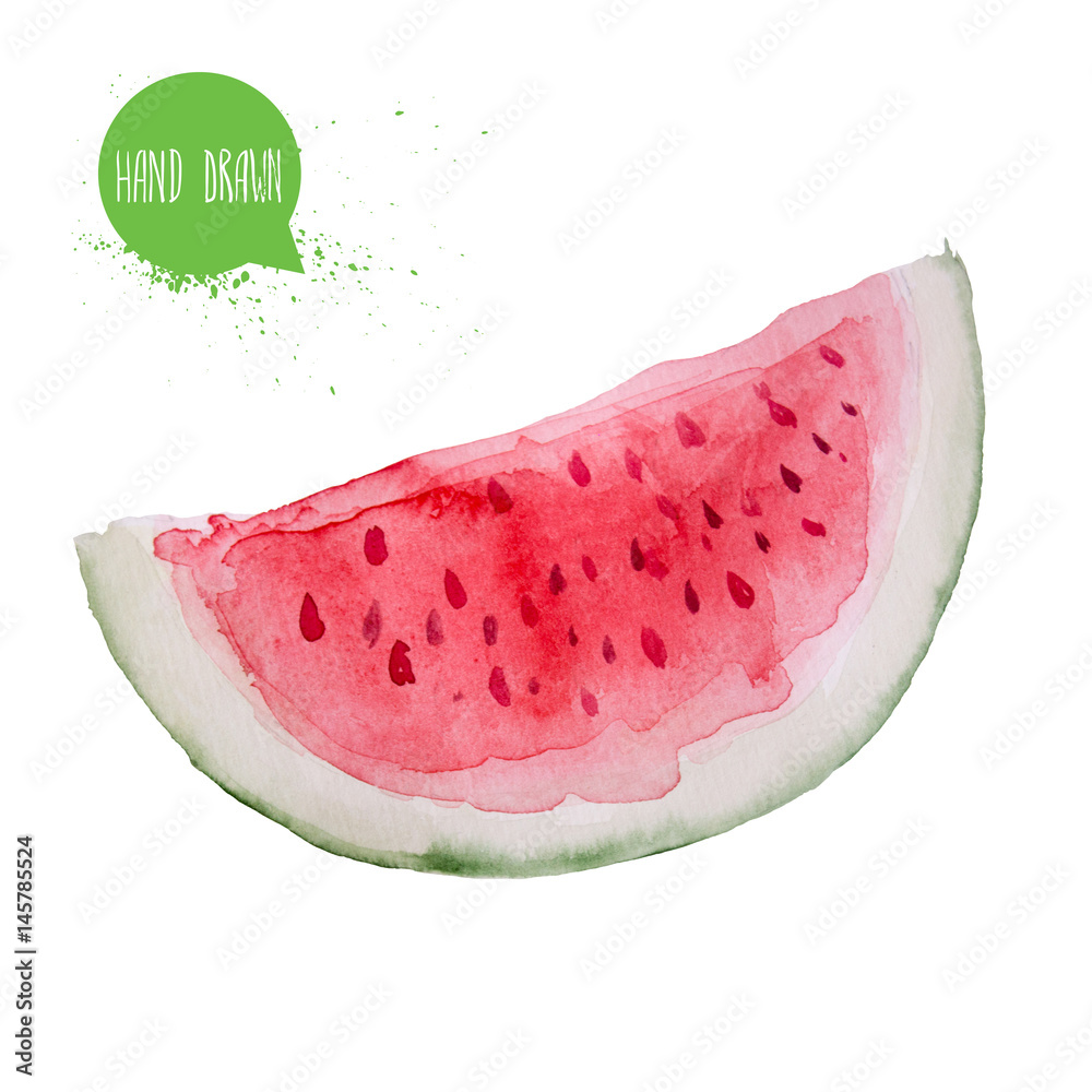 Hand drawn and painted watercolor watermelon slice. Isolated on white ...
