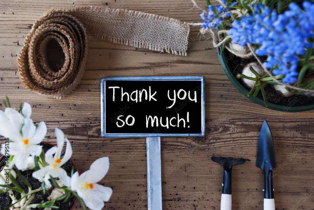 Spring Flowers, Sign, Text Thank You So Much Stock Photo | Adobe Stock