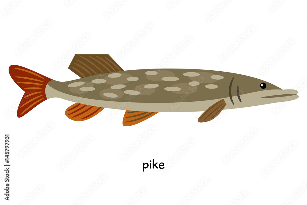 Pike - perfect murder weapon with camouflage - stains and stripes, with ...