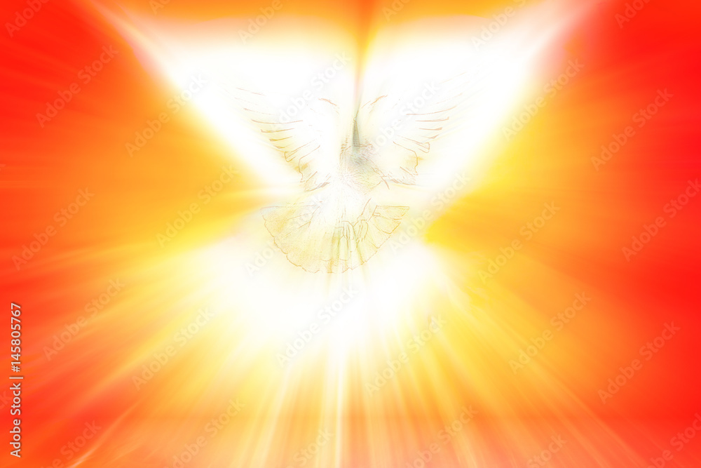 Confirmation Symbols Fire