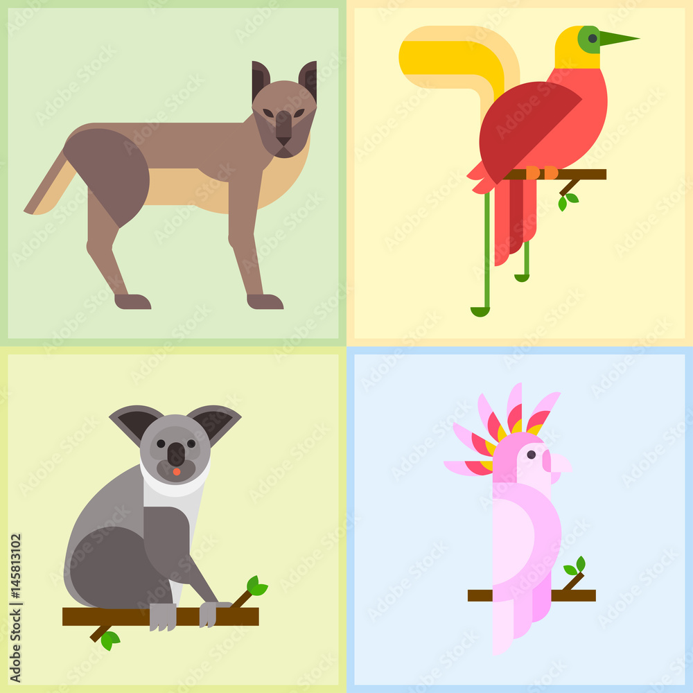 Australia wild animals cartoon popular nature characters flat style and ...