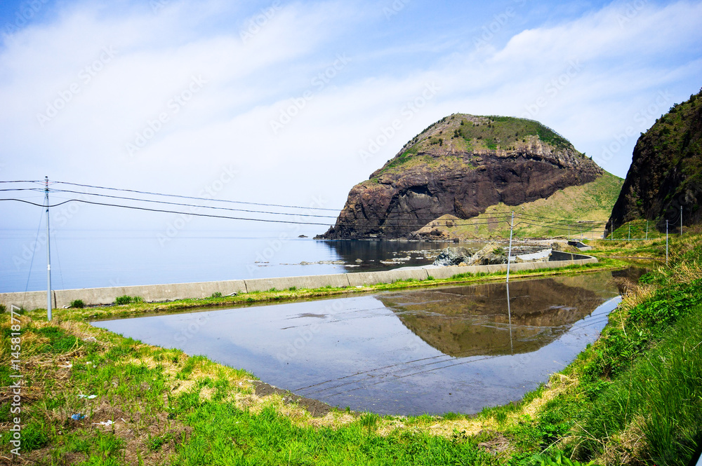 Rice field along the sea Stock Photo | Adobe Stock