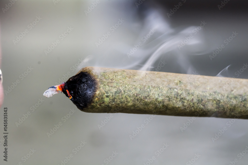Marijuana Joints Isolated - Cannabis Smoking Stock Photo | Adobe Stock