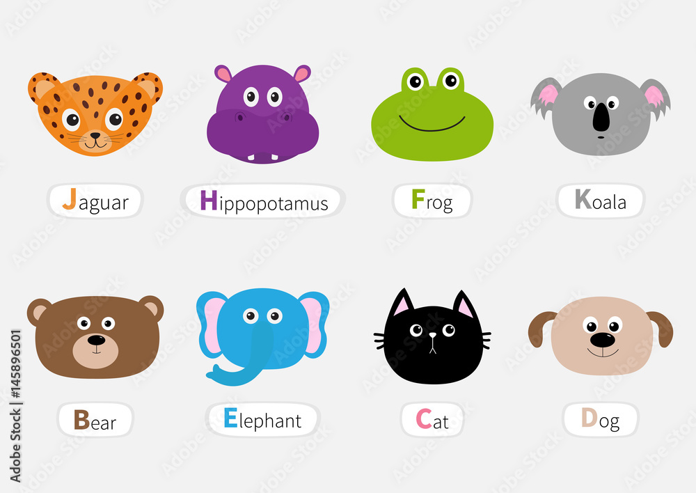 Cat, jaguar, dog, hippopotamus, elephant, bear, frog, koala. Zoo animal ...