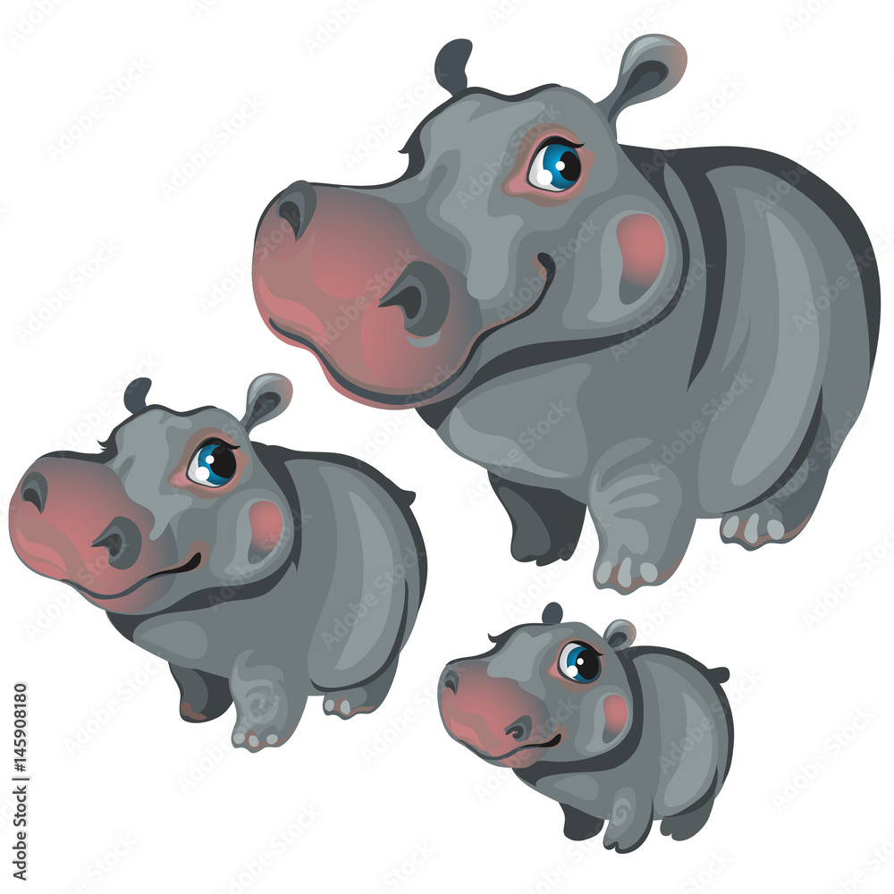 Cartoon hippo on white background. Vector animals Stock Vector | Adobe ...