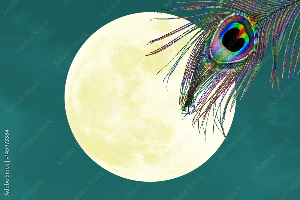 peacock feathers in moon background with text copy space Stock Photo ...