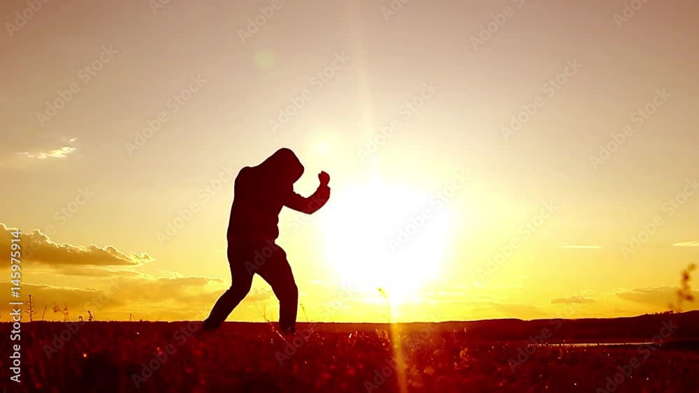 Silhouette of man exercising thai boxing. Silhouette of martial arts ...
