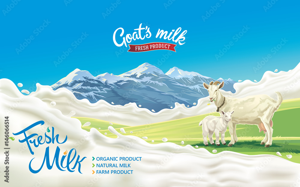 Goat and kid in a mountainous landscape and splash milk form like ...