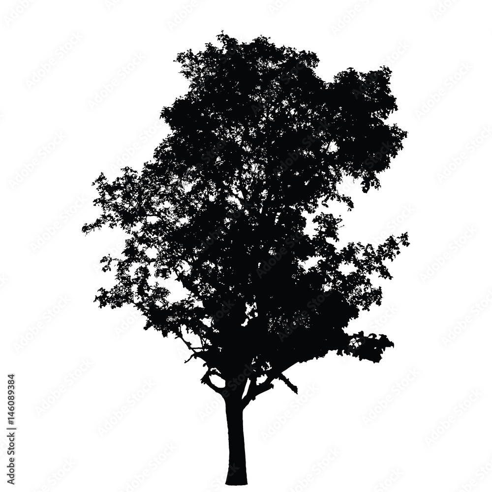 Wide Tree Silhouette