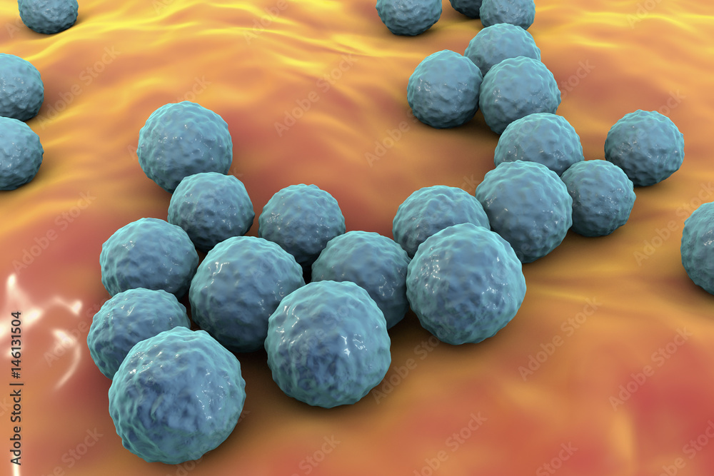 Bacteria Enterococcus, 3D illustration. Gram-positive cocci which cause ...