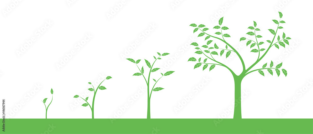 Vector illustration of a set of green icons - plant or tree growth ...