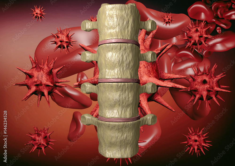 Visão posterior da coluna vertebral humana Stock Illustration | Adobe Stock