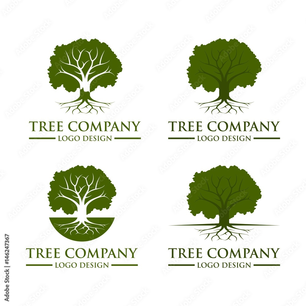 Tree Roots Design Vector Logo Template Stock Vector | Adobe Stock