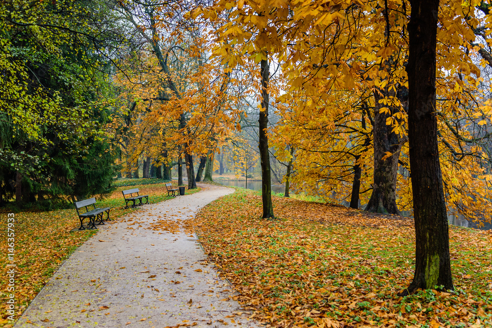 A beautiful autumn landscape. City Park in Warsaw. Lazienki Krolewskie ...