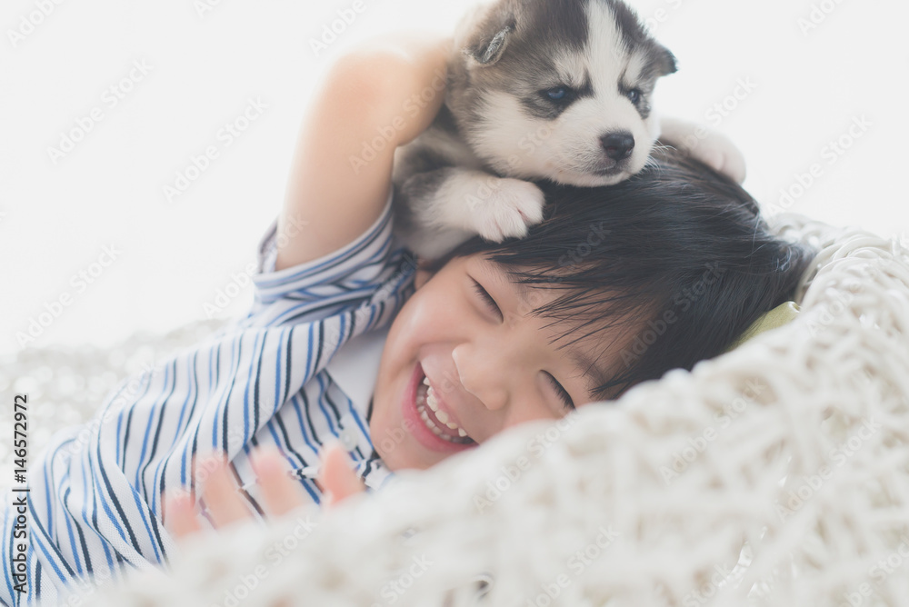 Cute asian child playing with siberian husky puppy Stock Photo | Adobe ...